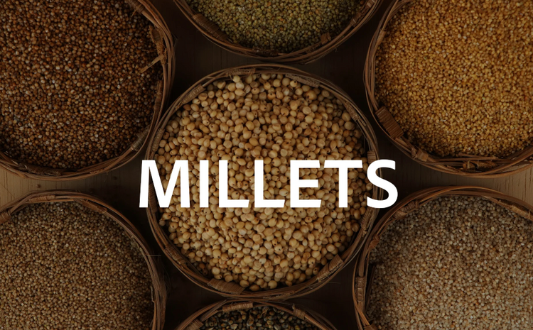 Home News Best Millets For Weight Loss - Diet Chart, Types & More